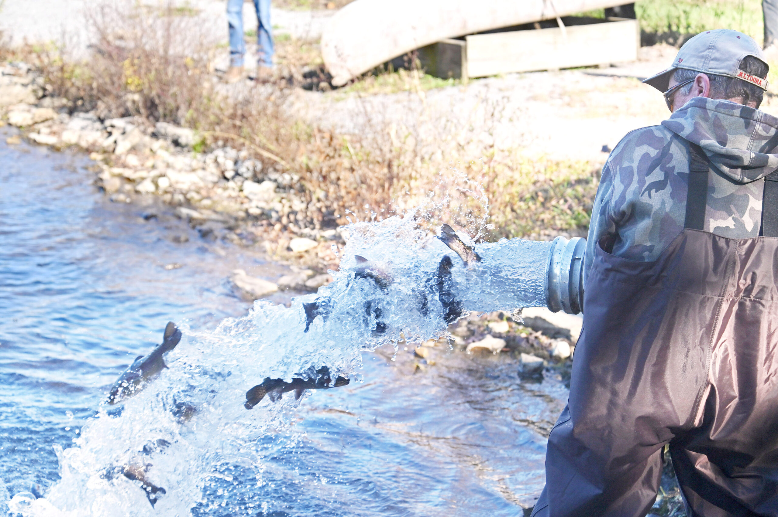 Fall trout stocking 06 | News, Sports, Jobs - Altoona Mirror